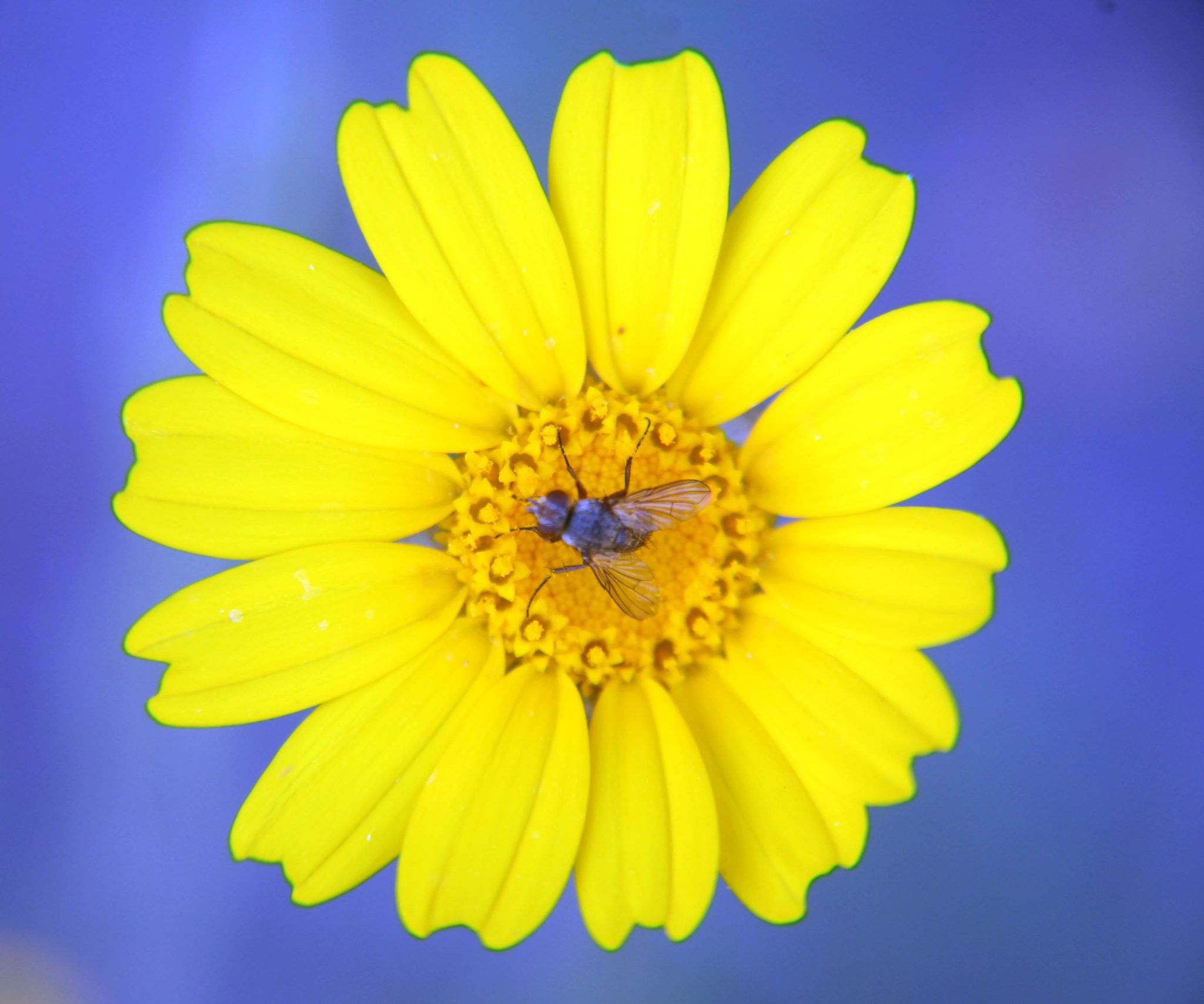 Photography – Maria Neophytou